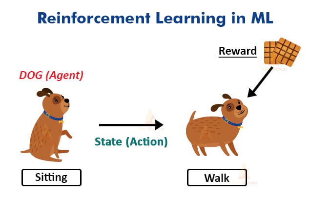 A Comprehensive Guide to Reinforcement Learning and OpenAI Gym | by ...