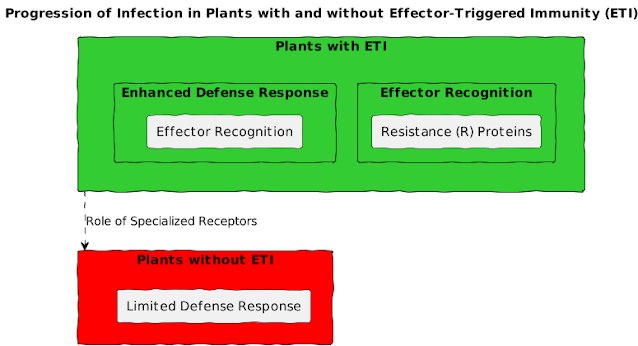 Plant Immunity and Defense Mechanisms | by PathoSolutions | Medium