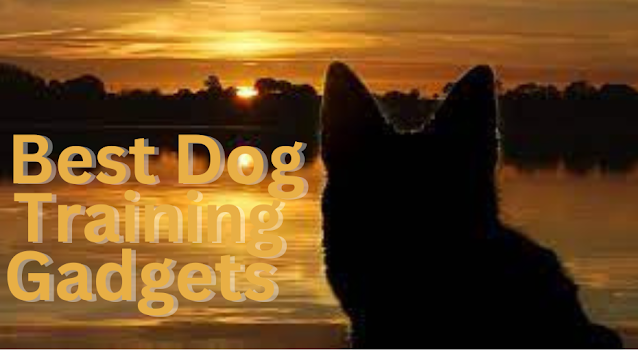 The Top 10 Best Dog Training Gadgets You Need in Your Life | by ...