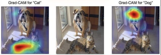 Comparing CNN Visualization Methods: GradCAM, Score-CAM, and More | by ...