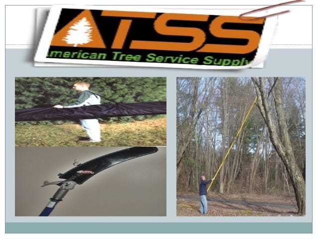 Tree Trimming Equipment — Use Right Tool To Cut Trees | by American ...