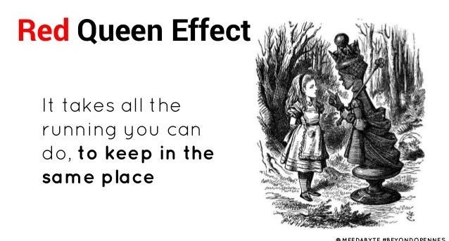 The Expectations Treadmill & Red Queen Effect | by M&S Consulting ...