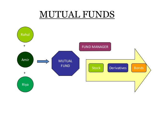 How Do I Find the Top Mutual Funds? | by Life Insurance MadeSimple | Medium
