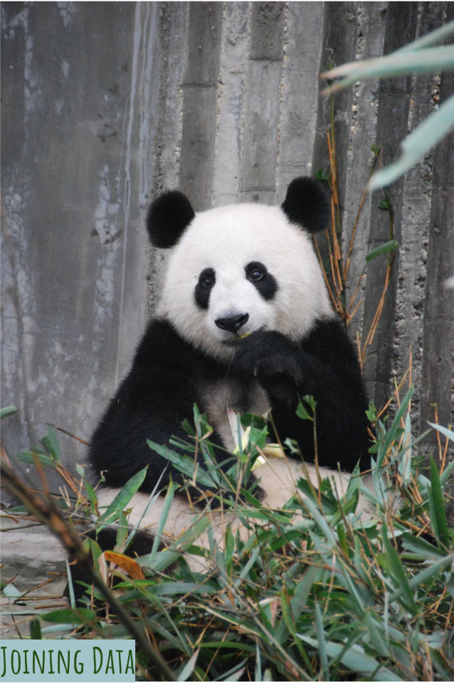 Ultimate Pandas Guide — Joining data with Python | by Skyler Dale | Towards Data Science