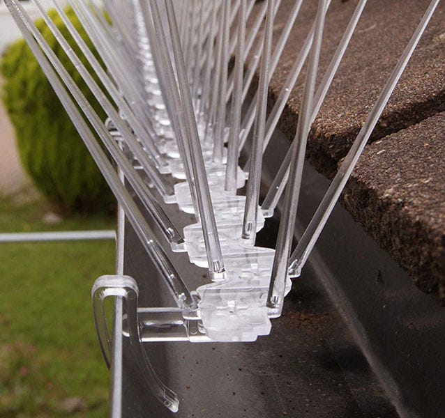 The Ultimate Guide to Bird spike installation: A Step-by-Step Approach ...