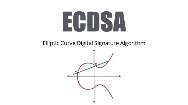 MOP Wallet ECDSA Algorithm (Elliptic Curve Digital Signature Algorithm): - MOP Labs - Medium
