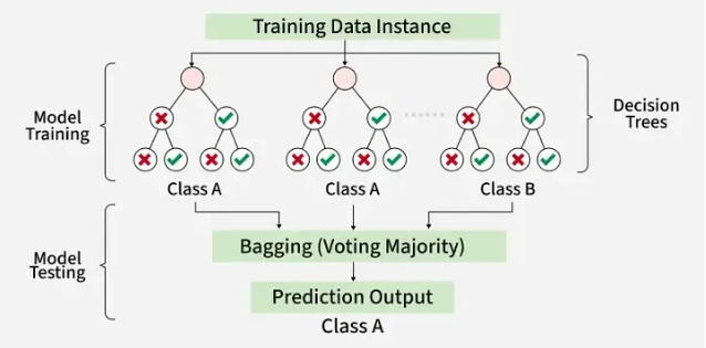 The Power of the Crowd: Mastering Random Forest Classification | by ...