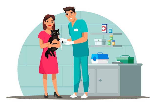 Vet Tech 5 Major Challenges That Animal Healthcare Experts Face | by ...