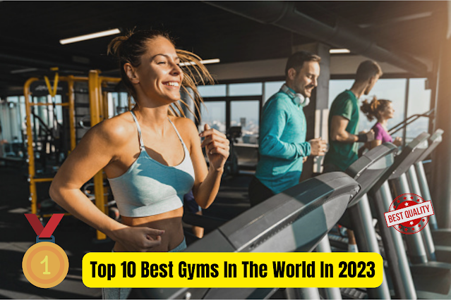 Top 10 Best Gyms In The World In 2023 | by Yazien Ali | Medium