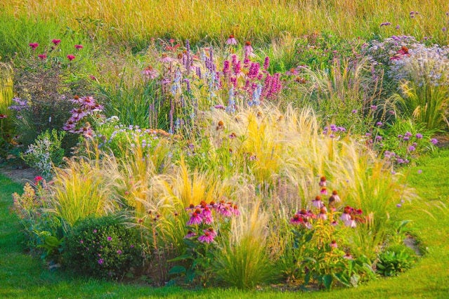 10 Best Ornamental Grass Types for a Full, Textured Garden | by ...