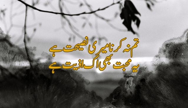 The Best 2-Line Deep Sad Poetry in Urdu | Sad Urdu Shayari Quotes ...