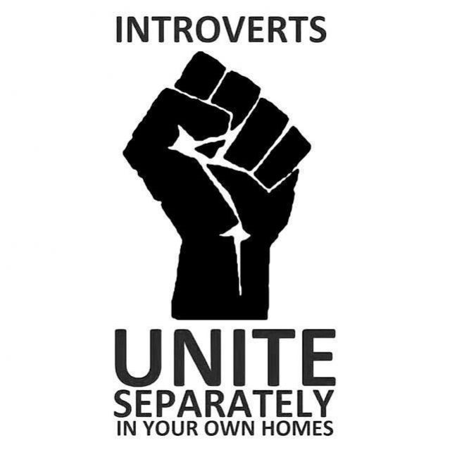 Introverts Round Out Dynamic Teams! | by Jason Orloske | Medium