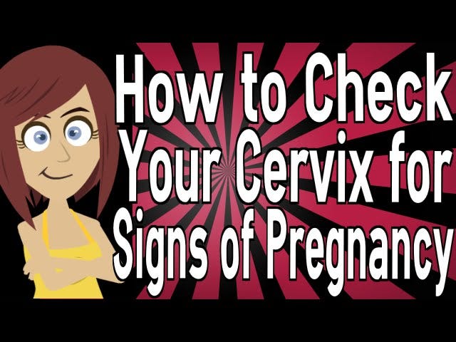 How To Check Your Cervix For Signs Of Pregnancy | by Dorothy Harris ...