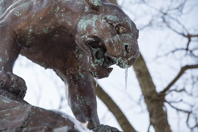 Panthers in Parks in Pittsburgh. Follow the ups and downs of Schenley ...