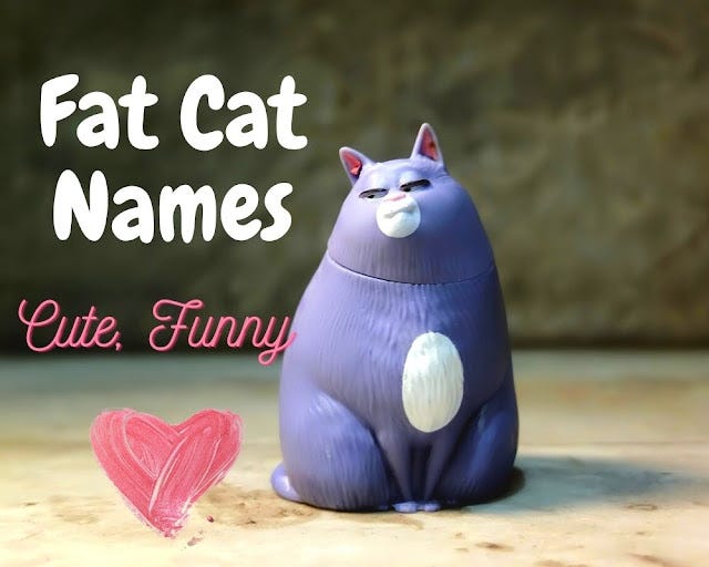 120 Famous Fat Cat Names Cute Funny Cool By Yt Akash Medium 120 Famous Fat Cat Names Cute Funny Cool By Yt Akash Medium
