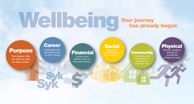 Sustainable Organizational Wellbeing | by Juan Carlos Wandemberg ...
