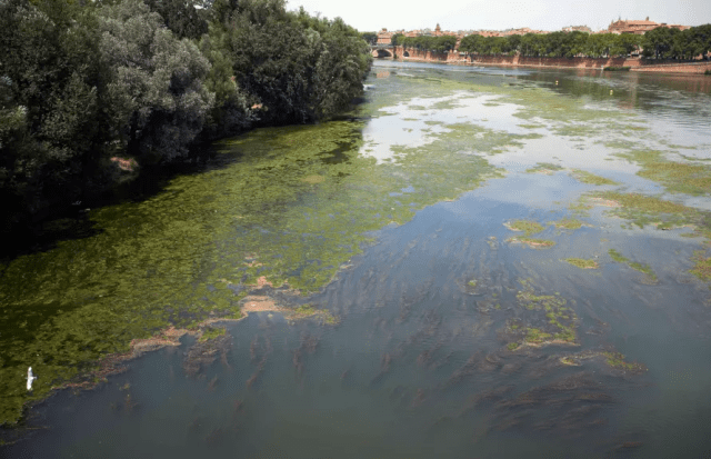 Nitrogen Fertilizer Pollution: Best Sustainable Solutions! | by L ...