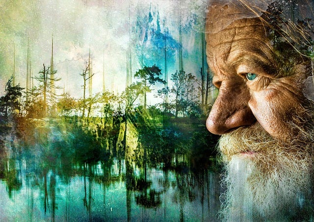 We Are Amazing Creations of the Creator | by Mrs Diane Mary Markey | Medium