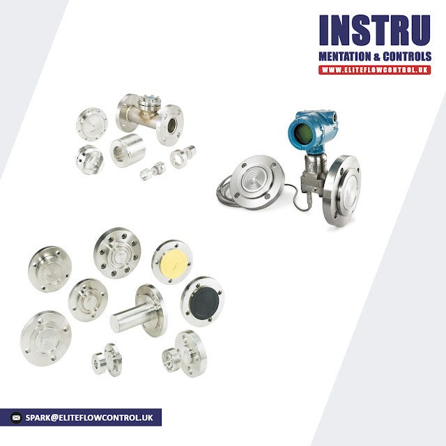 Rosemount™ 1199 Diaphragm Seal System | Supplier in UK | by ...