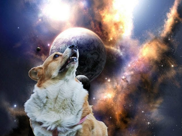 Concurrency On The Jvm — Volatile Variables With Scala 🐶 By 5120