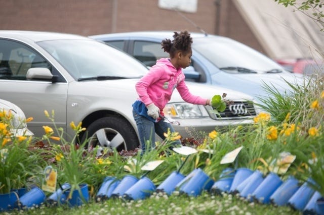 How Green Infrastructure In Parks Can Lead To Community Empowerment ...