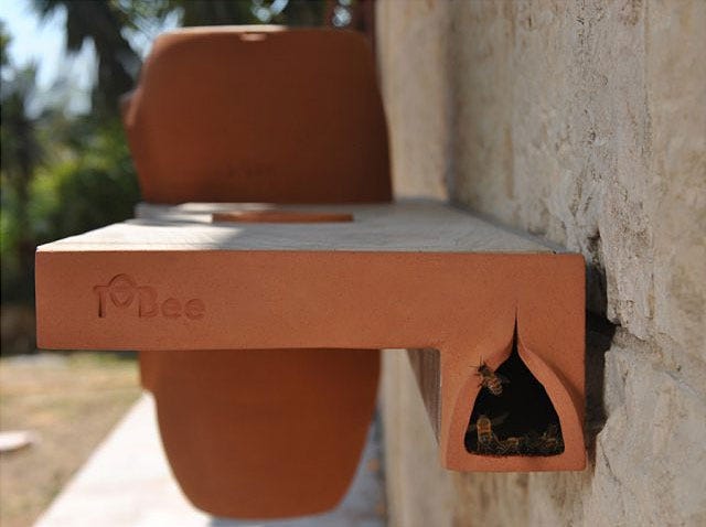 To-Bee apicultura caseira por Lavi Bar. | by Adirson Allen | Medium