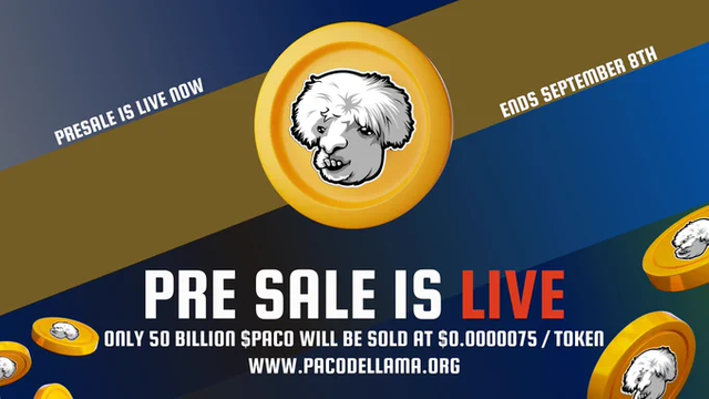 Paco De Llama - Sair - Medium