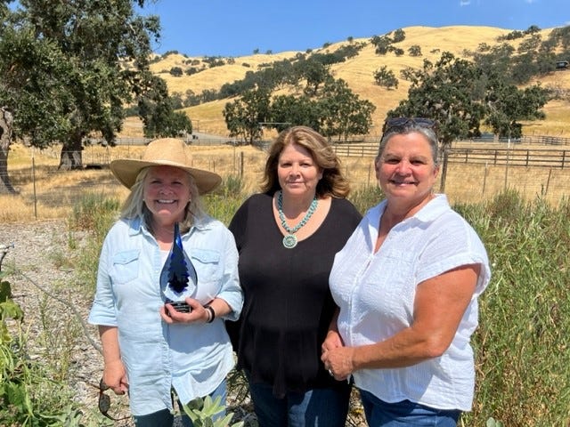 Fridays on the Farm: Inspiring the Next Generation of Women ...