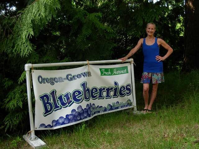 A Suburban Oasis: Bonny Slope Blueberry Farm | by Christelle Auzas | Medium