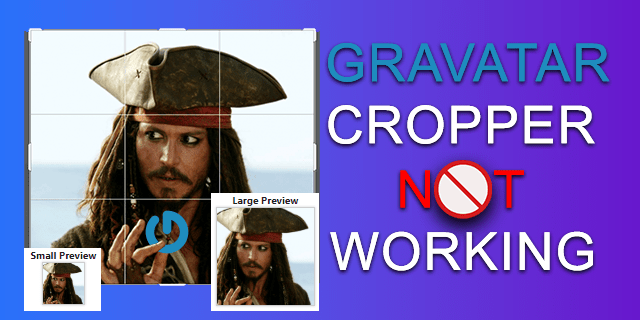 How To Fix the Gravatar Cropper Not Working | by Muhabarishaji News ...