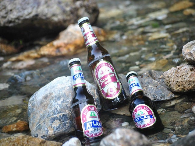 Americans Quench Their Thirst on Tesla Beer | by Balkan Insight | Medium