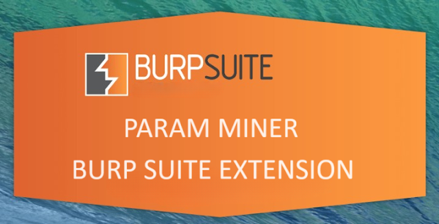Unearthing Web Application Secrets: A Deep Dive into the Param Miner Extension in Burp Suite ...