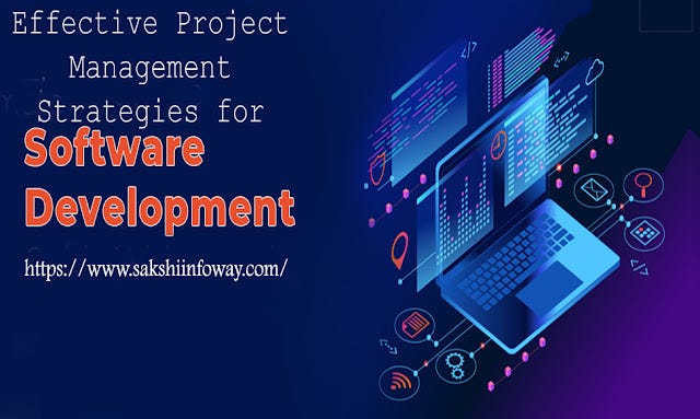 Effective Project Management Strategies for Software Development | by ...