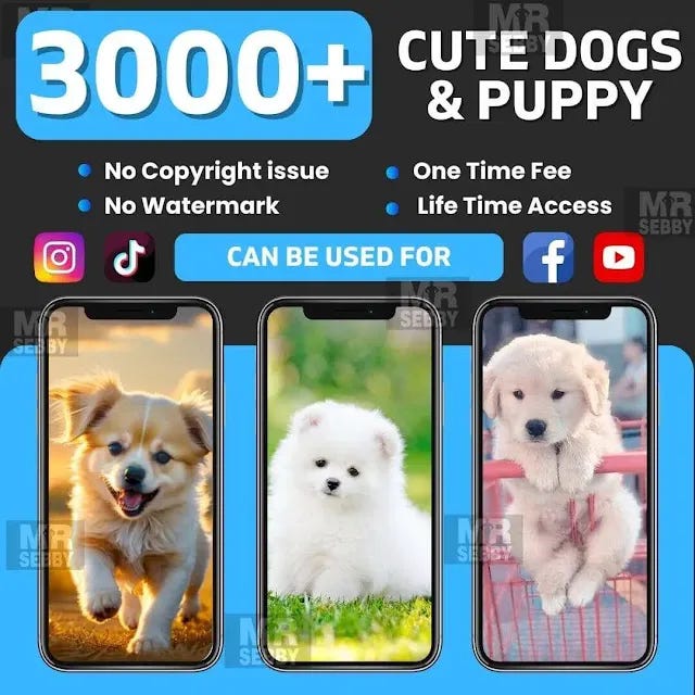 3000 Cute Dogs Puppy Reels Videos Bundle For Instagram, Youtube ...