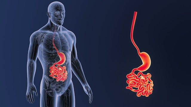 How To Quit diarrhea In 5 Days. Pathya –Apathya for Atisaar(Diarrhoea ...