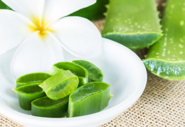 How to Choose The Best Aloe Drink as Per Your Taste | by Song Sainan ...