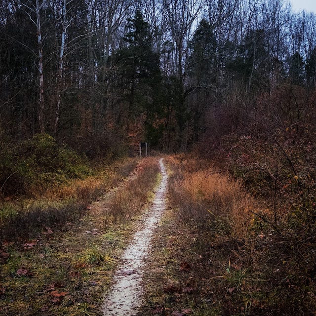Twin Chimneys — part 2.. Today I went for a solo hike. It had… | by Tim Bindner | Medium