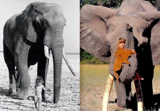 A incrível Tippi Degré da África | by Wagner Brenner | updateordie | Medium