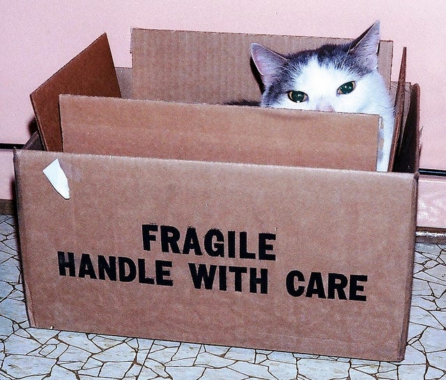 What Is Care Theory, and Why Should We Care? | by Lindsay Brazell | Medium