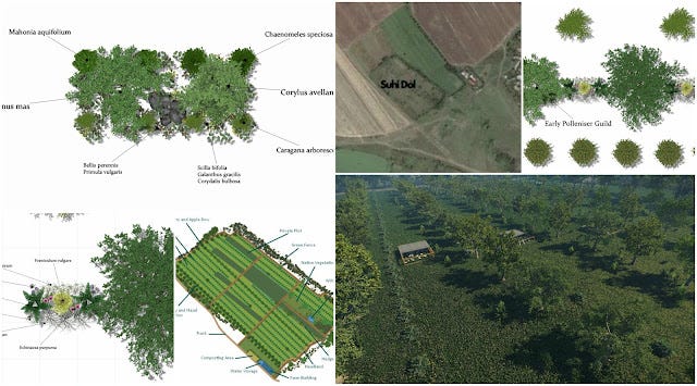 5 ha (12.3 acre) Agroforestry project coming to life… | by Polyculture ...