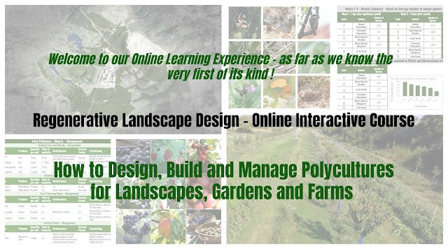 The Polyculture Project — Regenerative Landscape Designs — Carla ...