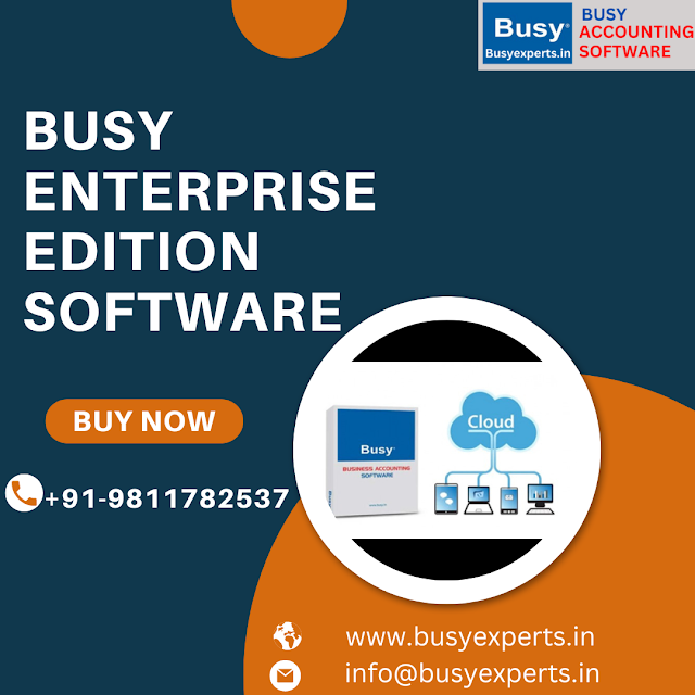 Best Busy Enterprise Edition Software Service | by BusyExperts | Medium