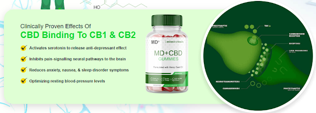Are MD+ CBD Gummies safe in the USA, Canada, Australia & New Zealand ...