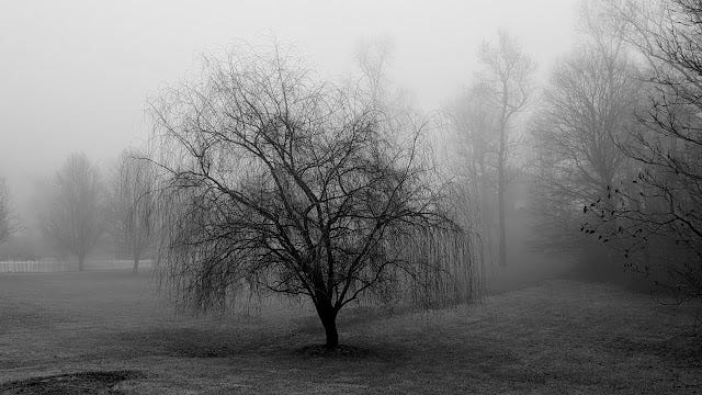 Anxiety poem - Tim Bindner - Medium