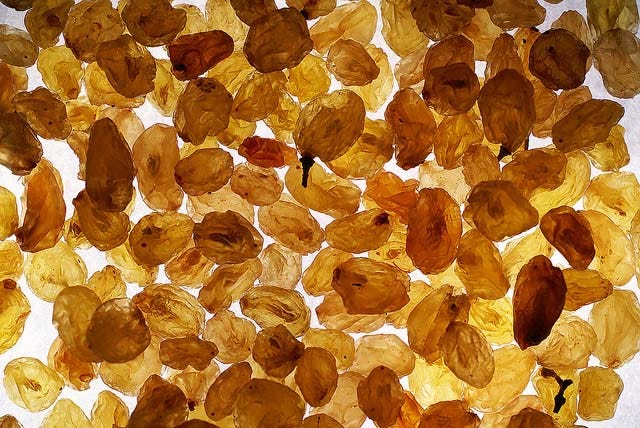 A raisin is, of course, a dried grape, and may be eaten raw or used in ...