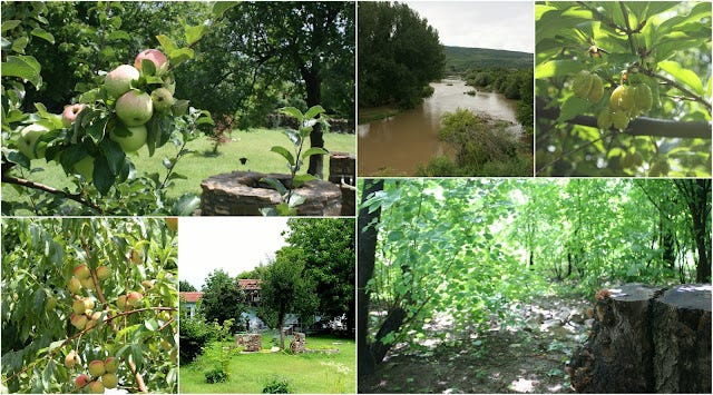 Regenerative Landscape Design — Conceptual design for 80 ha site ...