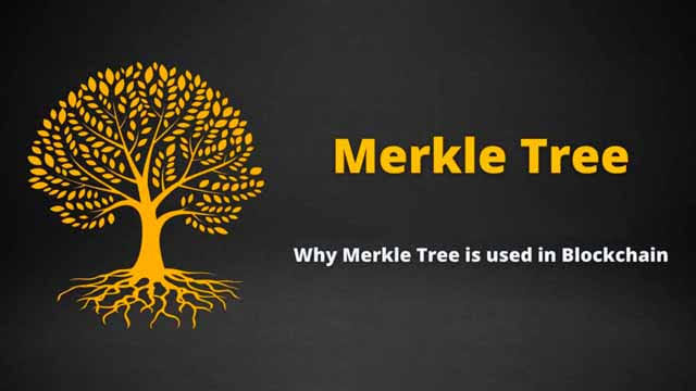 Merkle Tree. Merkle Tree: Your Gateway to the… | by Pauladybalaa | Medium