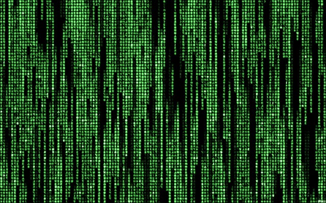 Why I Decided to Learn Programming | by Tami Sigmund | Medium