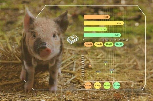 Knowledge Graph Empowers AI, even Pigs can go to the Peak of Life | by ...