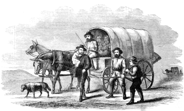 California Gold Rush Wagon Train